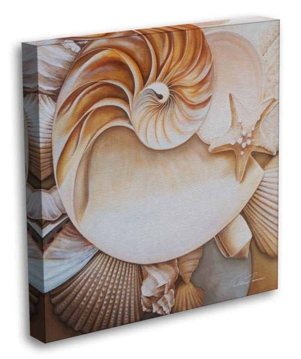 Shell – Dean Turner Art