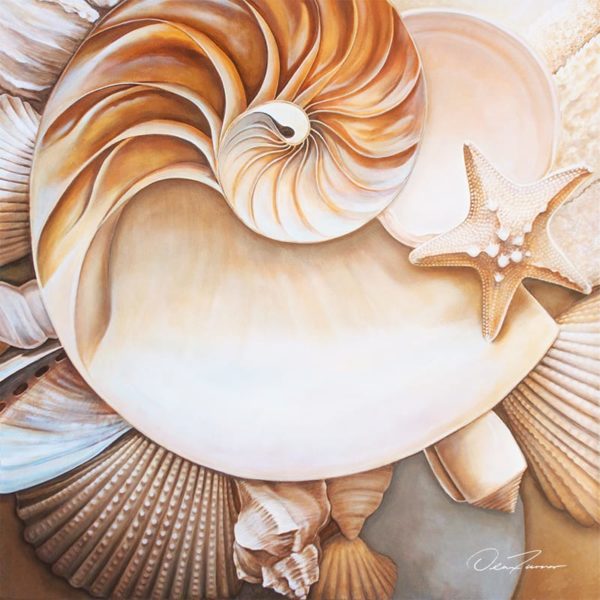 Shell – Dean Turner Art